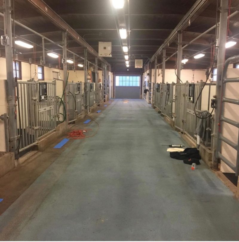 Vet Clinic Flooring | Equine Stall Flooring | Kennel Flooring